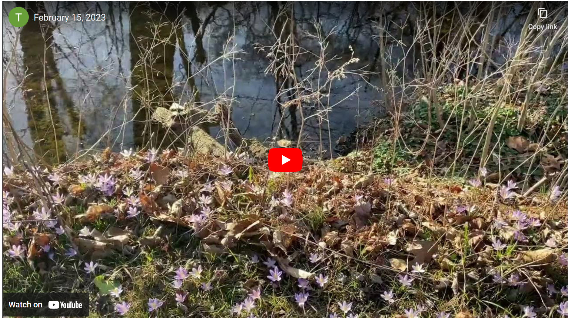 21st Century On The Main Line - Merion Botanical Park - February 15 ...