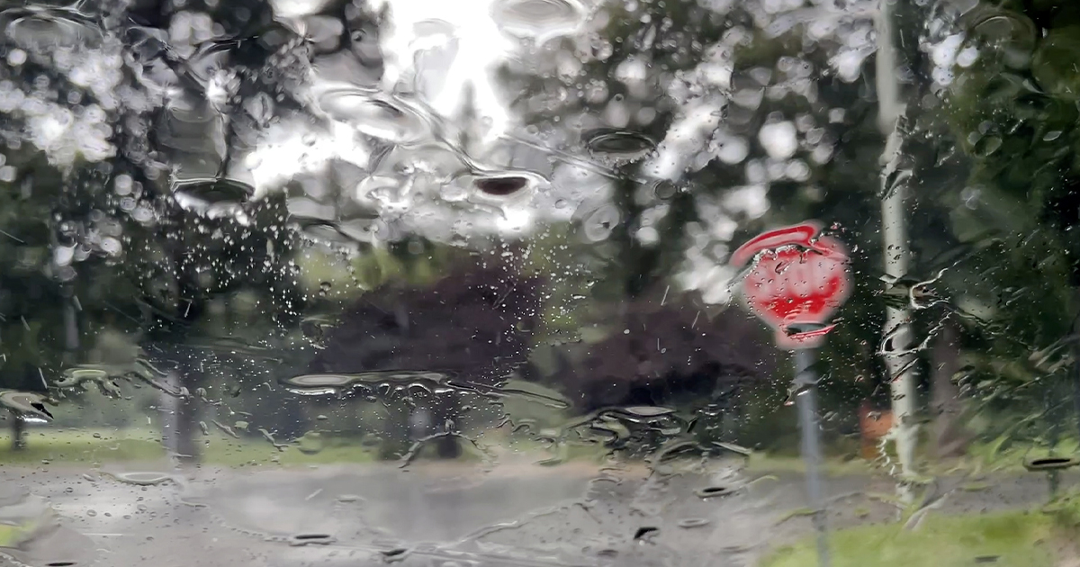 Merion Botanical Garden At Latches Lane Through A Wet Windshield - This ...
